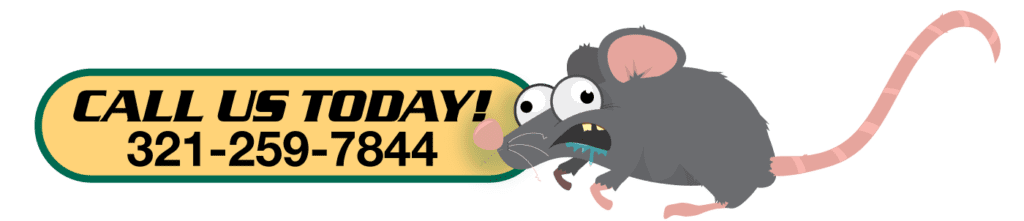 Rodent Control - Slug-A-Bug Pest Control