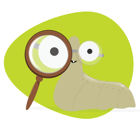 Junior Explorers – Slug-A-Bug Pest Control