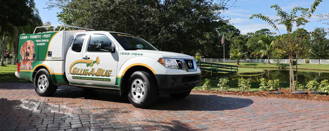 Slug-A-Bug: Pest, Termite, Lawn & Wildlife Experts in Brevard